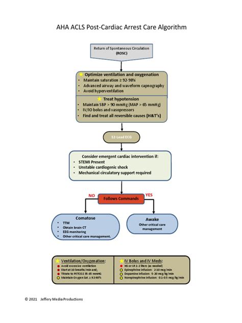 Website Post Cardiac Arrest Algorithm Diagram Pdf