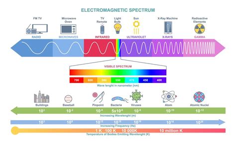 Premium Vector Electromagnetic Spectrum Infographic Physics Educational Poster Diagram Of Wave