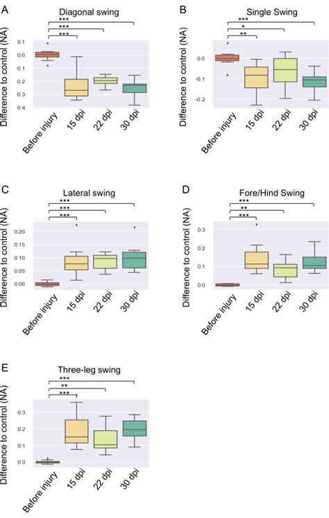 Using The Mousewalker To Quantify Locomotor Dysfunction In A Mouse