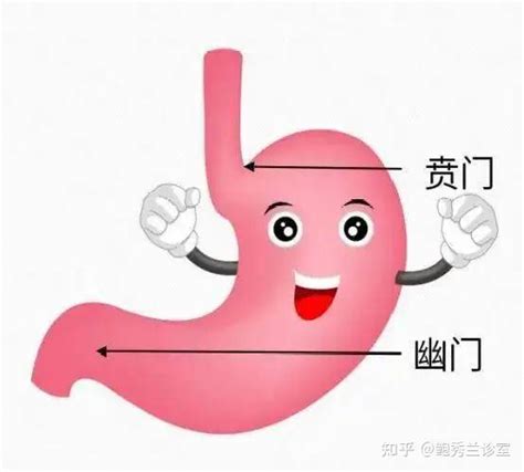 宝宝吐奶频繁多呈喷射性当心是身体的这个地方被堵住了 知乎