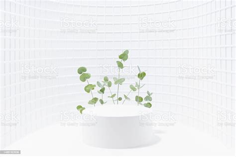 하나의 실린더 연단 모형 모자이크 벽 밝은 녹색 작은 유칼립투스 나뭇가지가 있는 곡선형 골방으로 흰색 현대 신선한 무대는 프레젠테이션 화장품 상품 디자인을 위한 여름 조명에