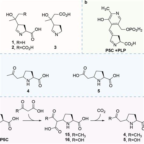 Biomarkers Identified For Hpii A Proposed Molecular Structure Of The Download Scientific