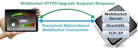 Websocket To Tcp Bridge Mzaerbicycle