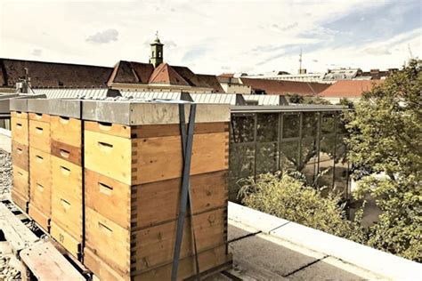 20 май Световен ден на пчелите