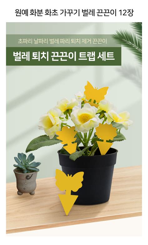 Hplusmall 양면 화분 노란 초파리 끈끈이 날파리 트랩 핫트랙스