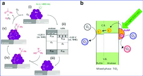 Schematic Of O 2 Activation On Semiconductor Surfaces A Mechanism Of Download Scientific