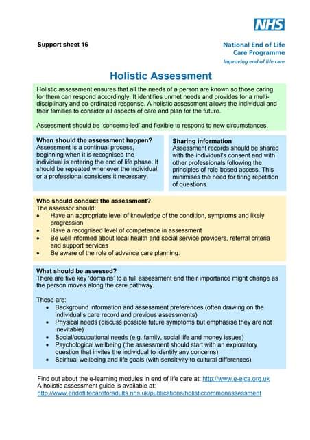 Support Sheet 16 Holistic Assessment Pdf