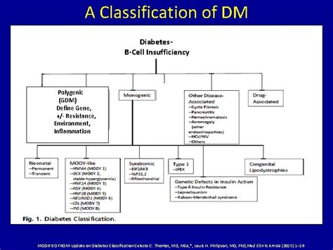 Current Classification Of Dm Update On Diabetes Classification