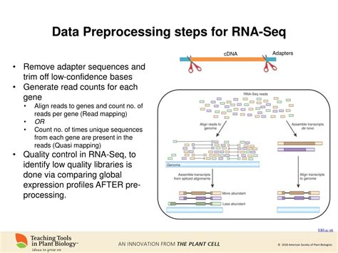 PPT A Bioinformatics Pipeline To Explore Transcriptional Regulation In Plants PowerPoint