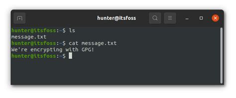 手把手指导：在 Linux 上使用 Gpg 加解密文件