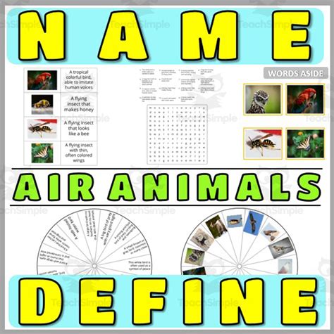 Concept Nouns Naming And Definitions 1 By Teach Simple