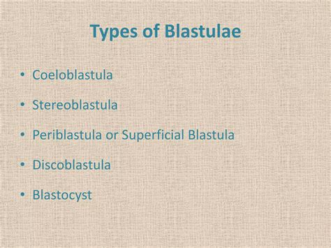 Blastulation Pptx