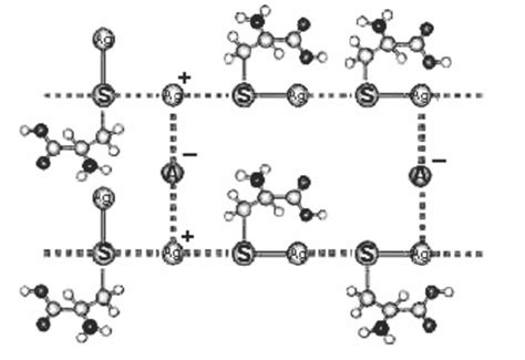 Three Dimensional Network Of Gel Download Scientific Diagram