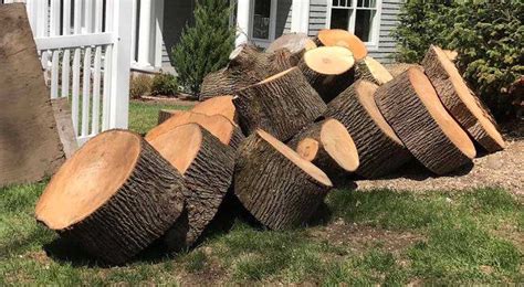 کنده های بزرگ درخت رو اینجوری برش میدن