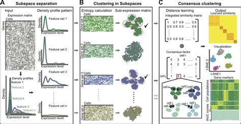 A Schematic Representation Of Encores Method A Subspace Separation