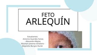 Comprehensive Overview Of Harlequin Ichthyosis Causes Diagnosis And