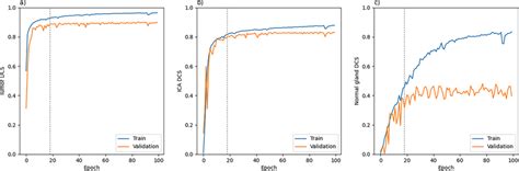 Train And Validation Dice Coefficients Over Training Time For The Download Scientific Diagram