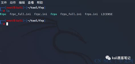 如何将kali Linux 映射到公网 Cn Sec 中文网