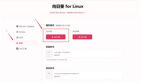 成功解决向日葵软件远程arm边缘计算机一直闪退xiangrikui Arm Csdn博客