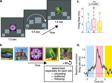 Experimental Design A In The Sequence Learning Experiment The Download Scientific Diagram