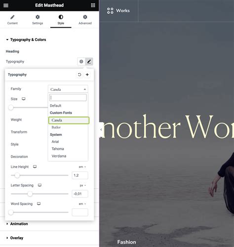 Uploading Custom Fonts Asli