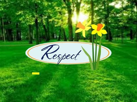 The Respect Basics Respect Begets Respect Ppt