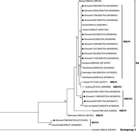 Phylogenetic Tree Based On Partial Nucleotide Sequences 285 Bp Of The