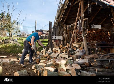 Man Splitting Beech Wood Logs For Firewood Stock Photo Alamy