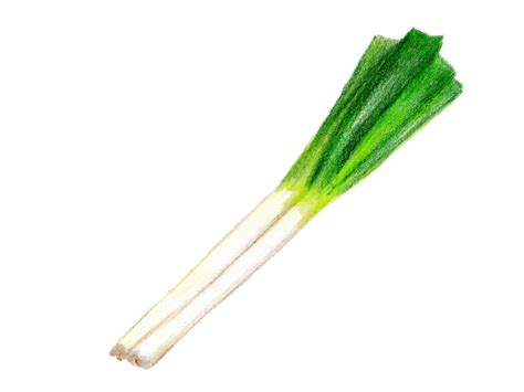 年越しそばにはなぜエビ天具材にもちゃんと意味があった なるのーと