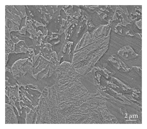 Cross Sectional Sem Of Carburized And Peened Sp3 Specimen The Download Scientific Diagram