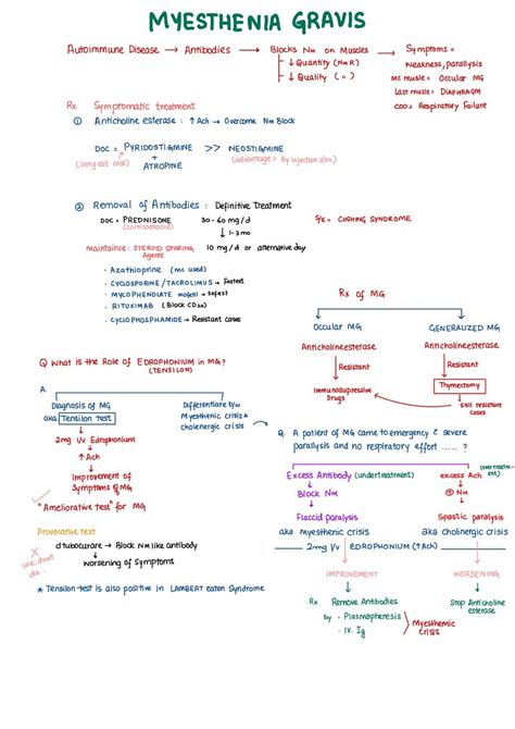 random r goodnotes