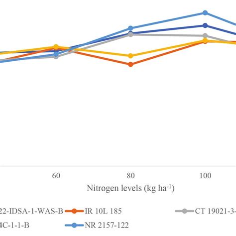 Interaction Effect Of Promising Rice Genotypes And Nitrogen Levels On Download Scientific