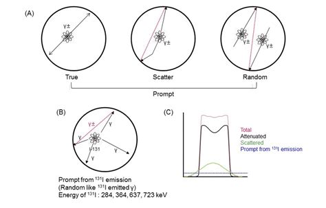 Schematic Illustration Of Emissions A Schematic Of Positron Emission Download Scientific