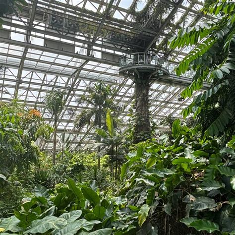 张康阳庆祝国米进欧冠决赛：这支团队配得上这一切，amalacom回合巴塞罗那