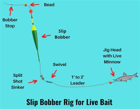 5 Types Of Live Bait Rigs That Will Catch Fish Anywhere