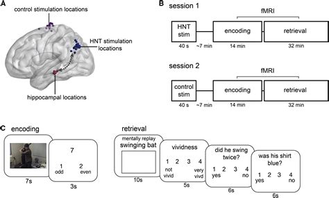 Enhanced Reinstatement Of Naturalistic Event Memories Due To Hippocampal Network Targeted