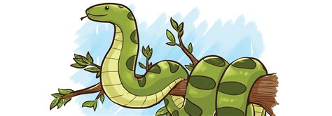 Встроенные функции Python какие нужно знать и на какие не стоит тратить время