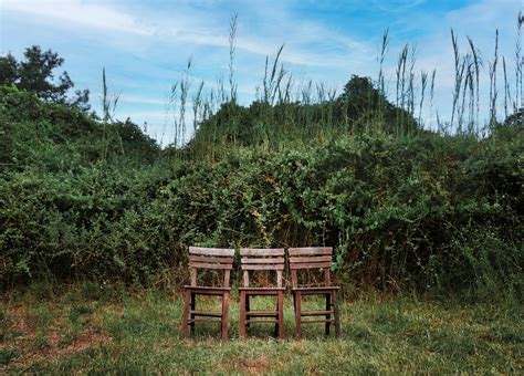 경치 경치가 좋은 고립된 고요한 광야 나무 나뭇잎 노천 녹지 농촌의 뒤뜰 들판 러스틱 맑은 공기 목가적 인 목가적인 목조 의자 미니멀리스트