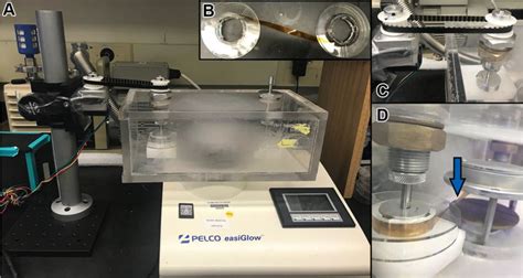 Figure 5 From Serial Section Electron Microscopy Using Automated Tape Collecting Ultramicrotome