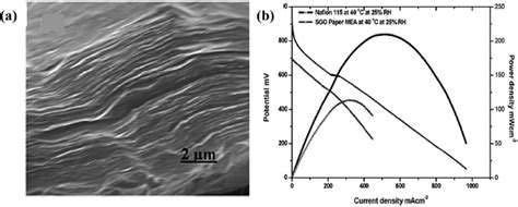 E Freestanding Sgo Paper Based Membrane A Sem Micrograph And Dmfc
