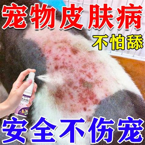 Cat Ringworm Spray External Use Non Medicated For Cats And Dogs