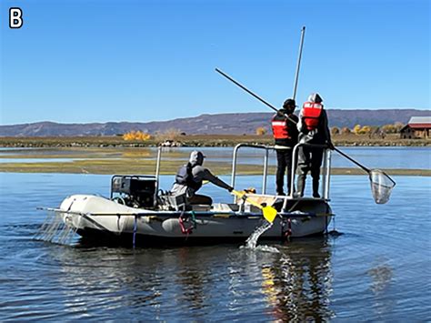 Boat Electrofishing Example 2
