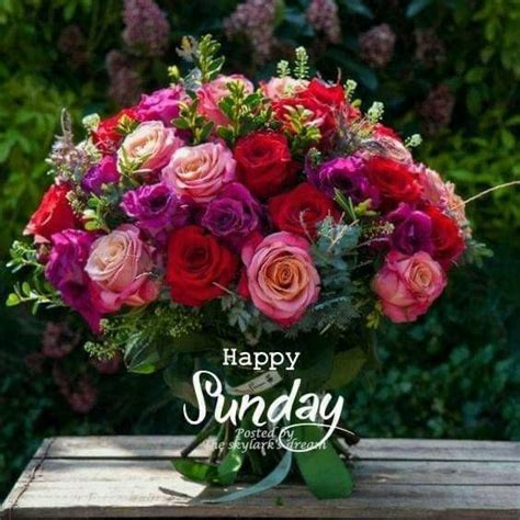 สวัสดีวันอาทิตย์ ภาษาอังกฤษ ภาพพื้นหลังสีแดง มี  รูปสวย โหลดฟรี