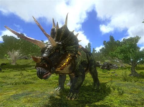 Pachyrhinosaurus Or Trike Rark