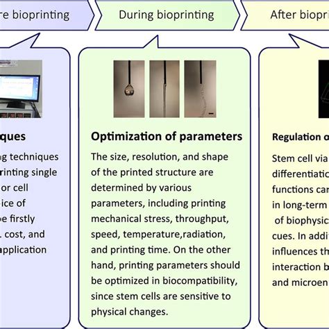 Schematic Of The Whole Lifespan Of Stem Cell Bioprinting Practice