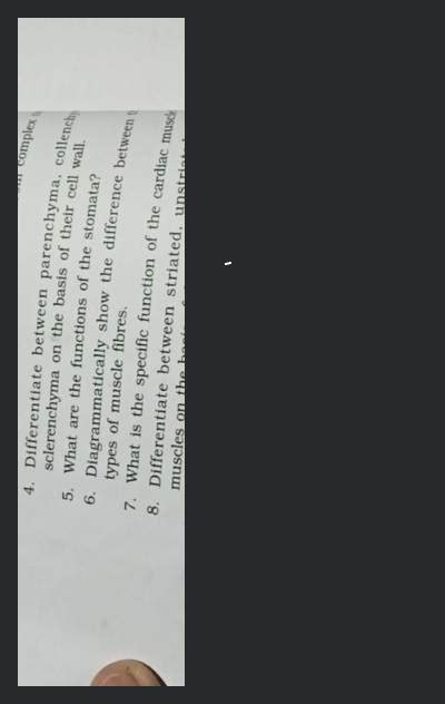 4 Differentiate Between Parenchyma Collenchyma Sclerenchyma On The Basi
