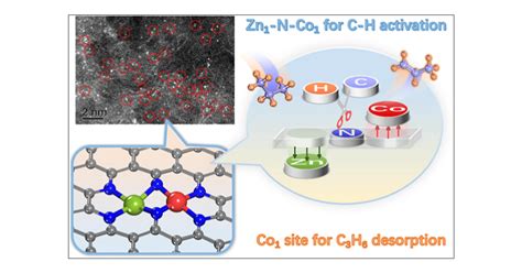 Dual Atom Catalyst With N Colligated Zn1co1 Species As Dominant Active