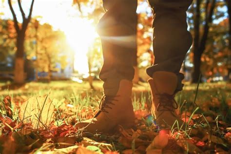 Premium Photo Walking Along The Path In The Leaves