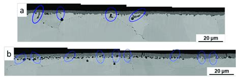 Sem Morphologies Of Internal Oxidation Along Grain Boundaries Of A Download Scientific