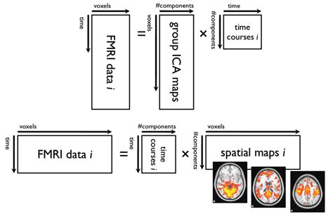 5 In Dual Regression Individual Time Courses Are Estimated First